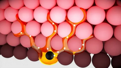 3d Animation Anatomy Skin Acne vulgaris ... | Stock Video | Pond5