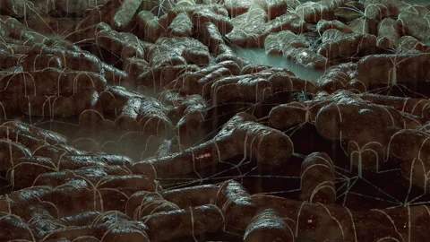 Helicobacter Pylori 3D Stock Video Footage | Royalty Free Helicobacter ...