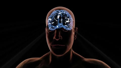 3D animation of brain rotating with ligh... | Stock Video | Pond5