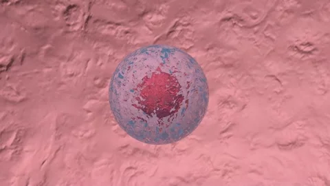 3D Animation of Cell division under a mi... | Stock Video | Pond5