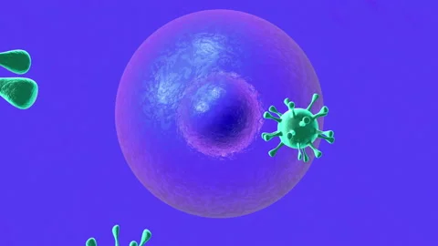 3D animation of cell infected process by... | Stock Video | Pond5