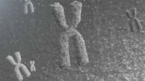 3D Chromosomes Stock Footage ~ Royalty Free Stock Videos | Pond5