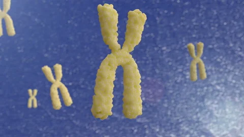 3d animation of chromosomes. The movemen... | Stock Video | Pond5