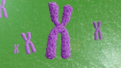 3d animation of chromosomes. The movemen... | Stock Video | Pond5