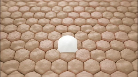 Skin Cells Animation Stock Videos – Royalty-Free HD & 4K Videos | Pond5