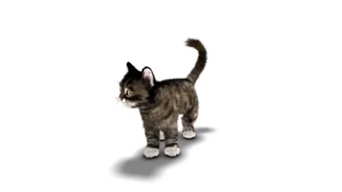 3d animation of cute adorable cat, 2d an... | Stock Video | Pond5