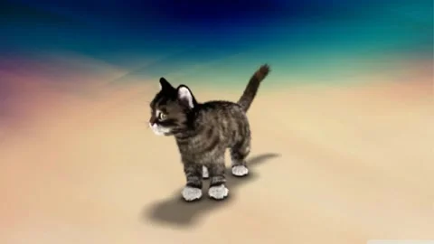 3d animation of cute adorable cat, 2d an... | Stock Video | Pond5