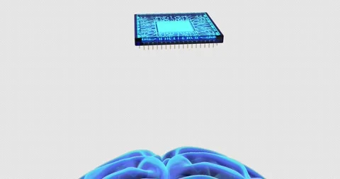 The Evolution 3D Stock Footage ~ Royalty Free Stock Videos | Pond5