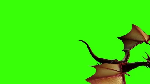Green Screen Dragon Stock Footage ~ Royalty Free Stock Videos | Pond5