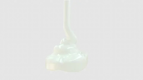 Drooping Out Stock Videos – Royalty-Free HD & 4K Videos