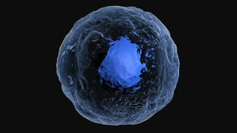 3D animation of eukaryotic cell movement... | Stock Video | Pond5