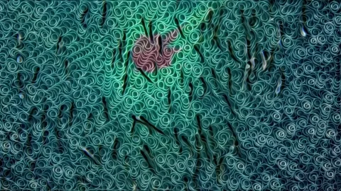 3D Animation of Fish Swimming Under Sea ... | Stock Video | Pond5