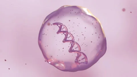 3d animation of floating DNA helix insid... | Stock Video | Pond5