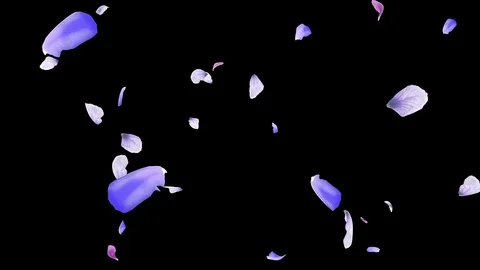 3D animation of a flower petals flow wit... | Stock Video | Pond5