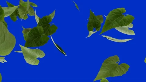 3d animation of flying green leaves floa... | Stock Video | Pond5