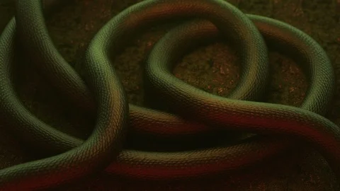 3D animation of a giant dragon snake bod... | Stock Video | Pond5