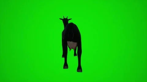 3D animation of a goat in Asian villages... | Stock Video | Pond5