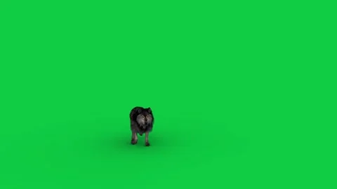 3D animation on green screen of a dire w... | Stock Video | Pond5
