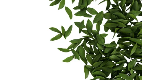 3D animation of green tea leaves flow wi... | Stock Video | Pond5