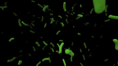 3d animation of group of bacteria cells.... | Stock Video | Pond5