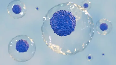 Group Of Cells Stock Videos – Royalty-Free HD & 4K Videos | Pond5