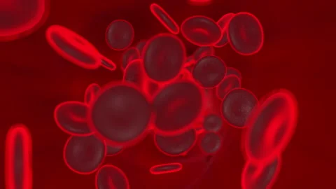 Haemoglobin Stock Video Footage | Royalty Free Haemoglobin Videos | Pond5