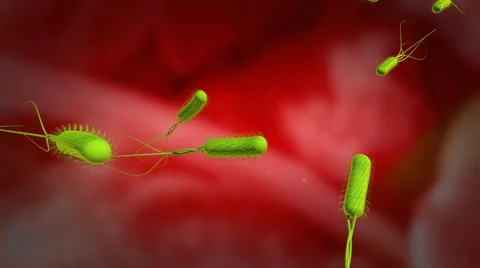 D1Orniy4H Stock Videos – Royalty-Free HD & 4K Videos