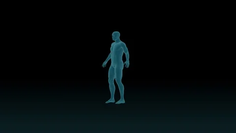 3d animation of human body x-ray scan wi... | Stock Video | Pond5