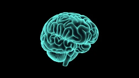 3d animation of human brain x-ray seamle... | Stock Video | Pond5