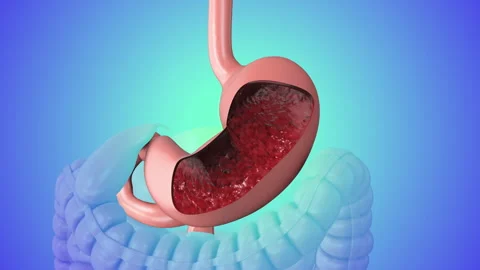 3D animation of the human digestive syst... | Stock Video | Pond5