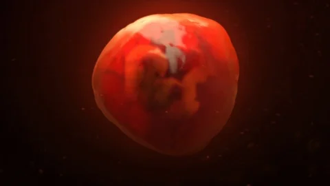 Embryo Sphere Stock Videos – Royalty-Free HD & 4K Videos | Pond5