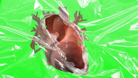3d animation of a human heart beating in... | Stock Video | Pond5
