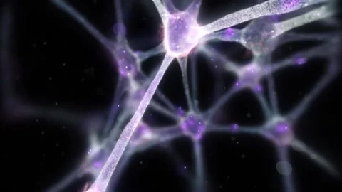 3D animation of human neurons | Stock Video | Pond5