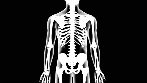 3D animation of a human skeleton on a bl... | Stock Video | Pond5