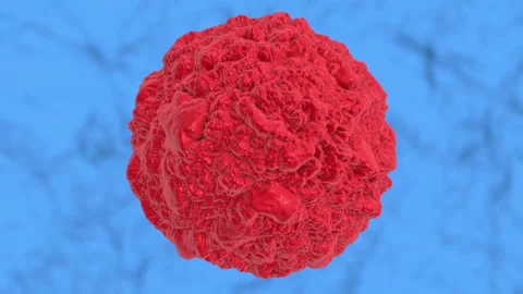 3d animation of immune cell in the human... | Stock Video | Pond5