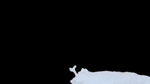 3D Animation of Milk Flow in Slow Motion... | Stock Video | Pond5