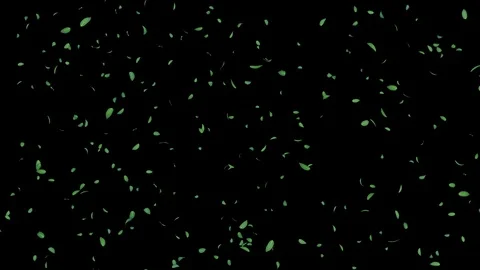 3D animation of a mint leaves flow with ... | Stock Video | Pond5