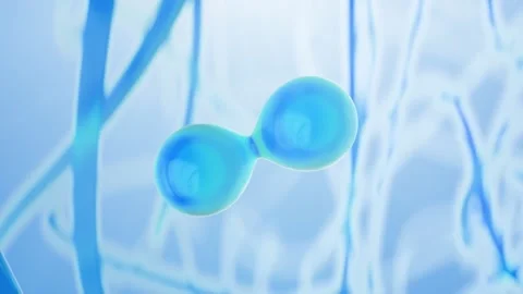 3D animation molecule macro atom cell Se... | Stock Video | Pond5