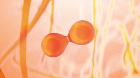 3D animation molecule macro atom cell Se... | Stock Video | Pond5