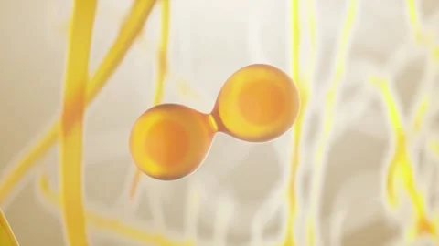 3D animation molecule macro atom cell Se... | Stock Video | Pond5