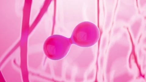 3D animation molecule macro atom cell Se... | Stock Video | Pond5