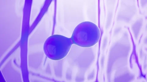 3D animation molecule macro atom cell Se... | Stock Video | Pond5