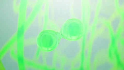 3D animation molecule macro atom cell Se... | Stock Video | Pond5