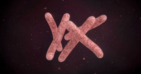 Mycobacterium Tuberculosis Stock Footage ~ Royalty Free Stock Videos ...