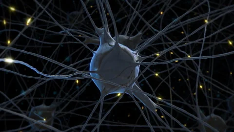3d animation of the nerve cell and human... | Stock Video | Pond5