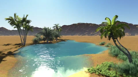 Oasis 3D Stock Footage ~ Royalty Free Stock Videos | Pond5
