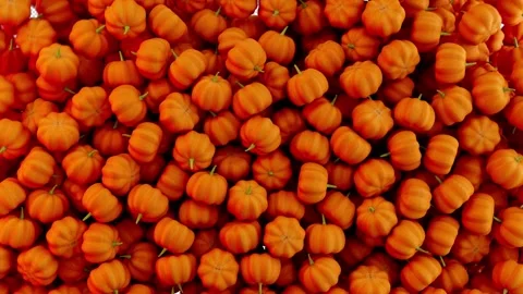 3D animation of orange seasonal fall aut... | Stock Video | Pond5