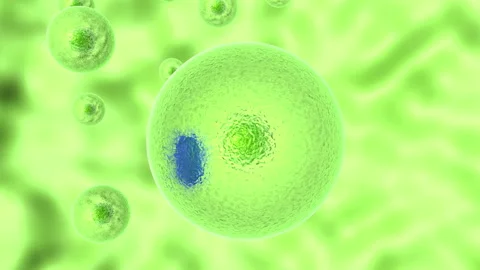 3D animation of process infecting living... | Stock Video | Pond5