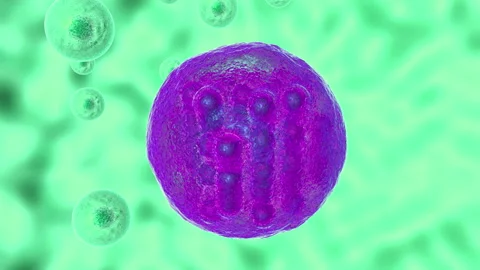 3D animation of process infecting living... | Stock Video | Pond5