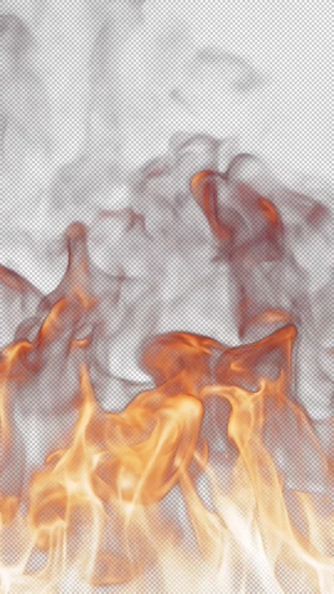 Fire Alpha Channel Animation Stock Footage ~ Royalty Free Stock Videos ...